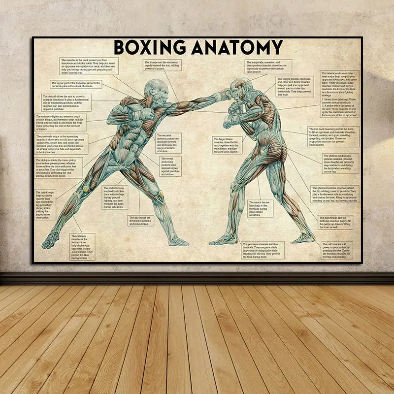 Vintage-Boxing-Body-Anatomy-Posters-And-Prints-Boxing-Lover-Gift-Wall ...