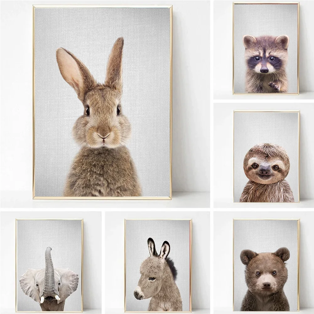 Realistic-Furry-Animals-Cute-Prints-Poster-Canvas-Painting-Hd-Modern ...