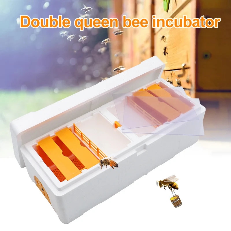 Double-Beekeeping-Queen-Breeding-Box-Pollinator-Multi-Functional-High ...
