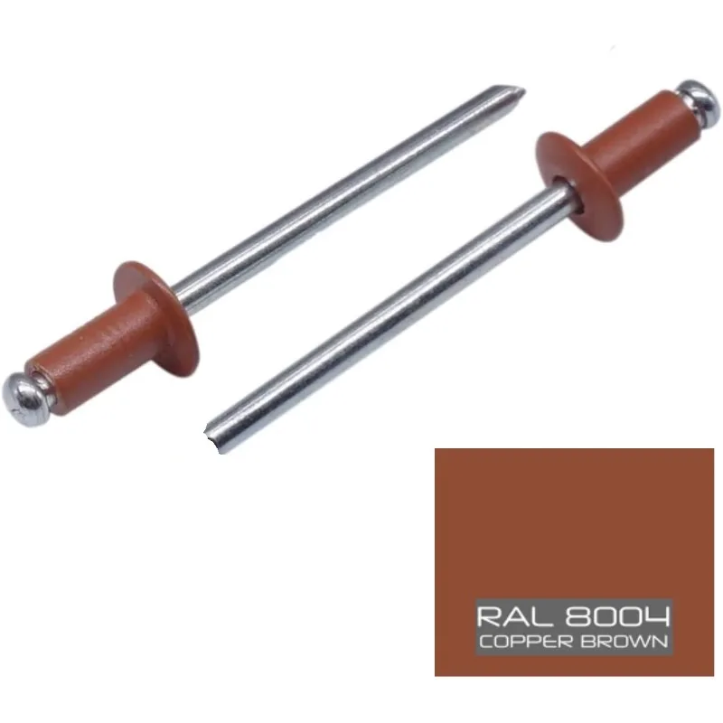 Rivets aveugles peints en cuivre marron RAL8004, 50 pièces, Rivets ...