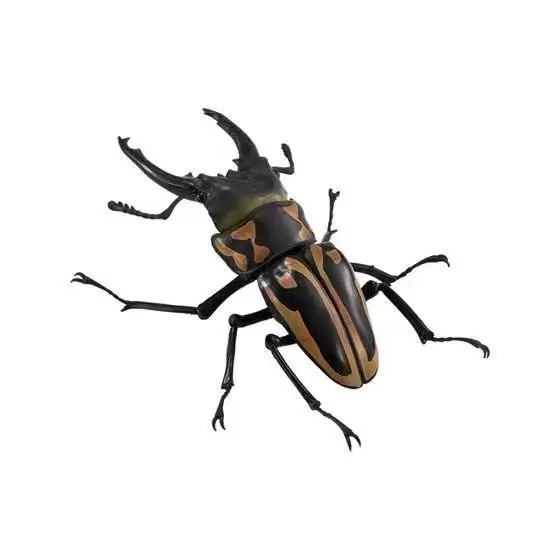 Giant Tailed Stag Beetle