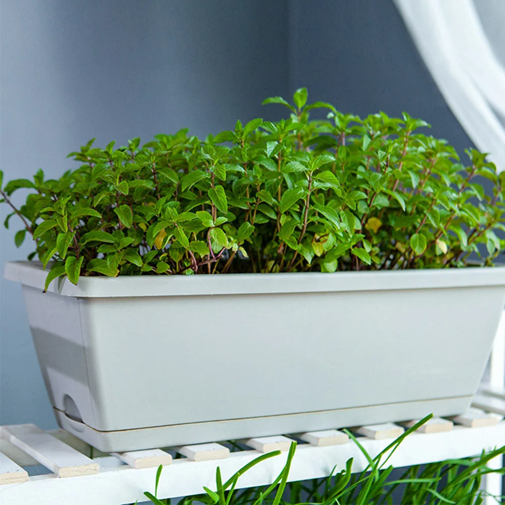 Sf861bce8fb264dd3af16e8b3eee455280.jpg