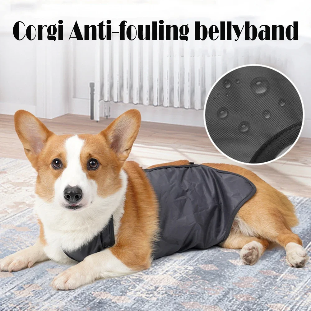 Dog Clothes Breathable Bellyband for Corgi Dachshund Bulldog Anti-dirty ...