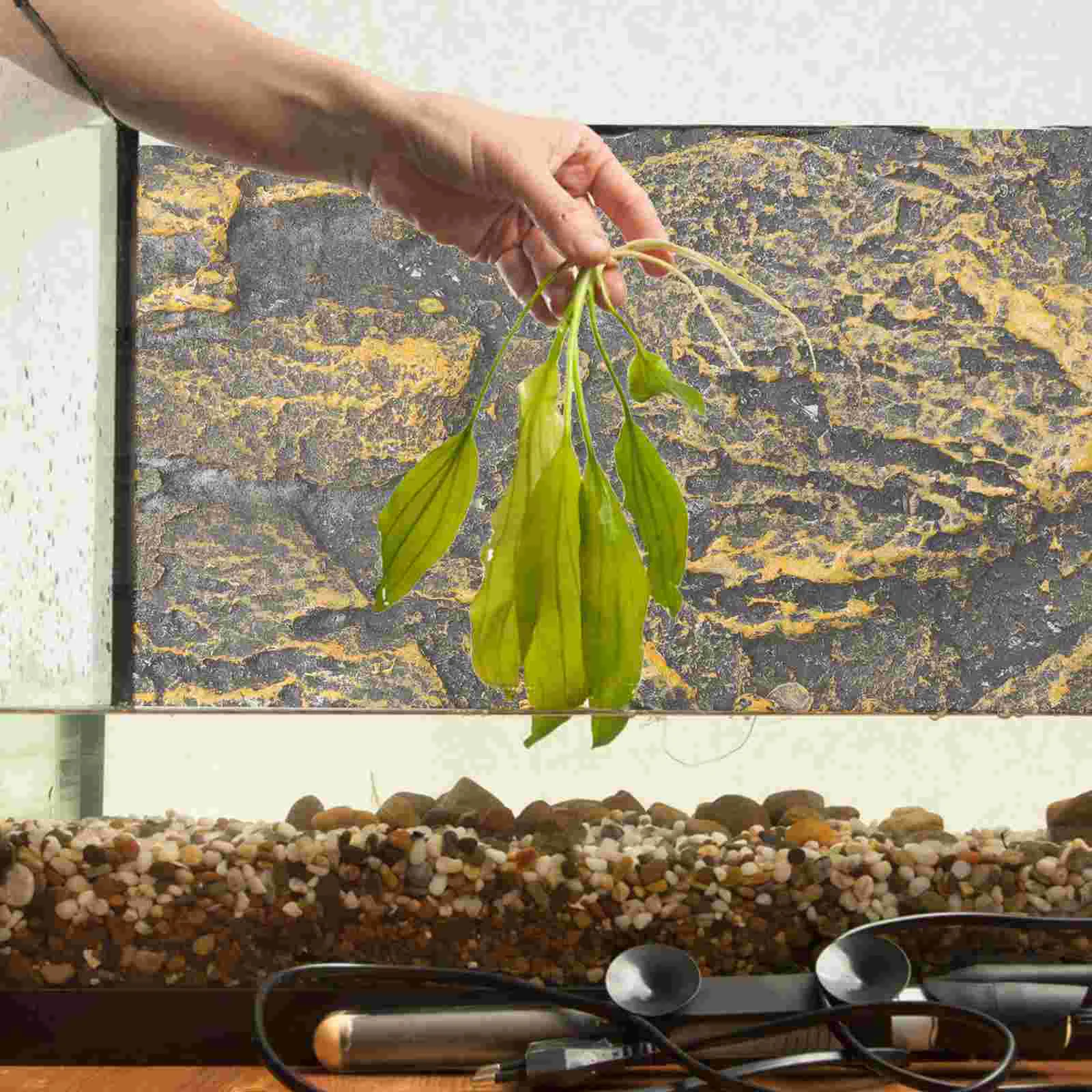 Snake Tank Background Reptile Enclosure 3d Terrarium Wallpaper Aquarium ...
