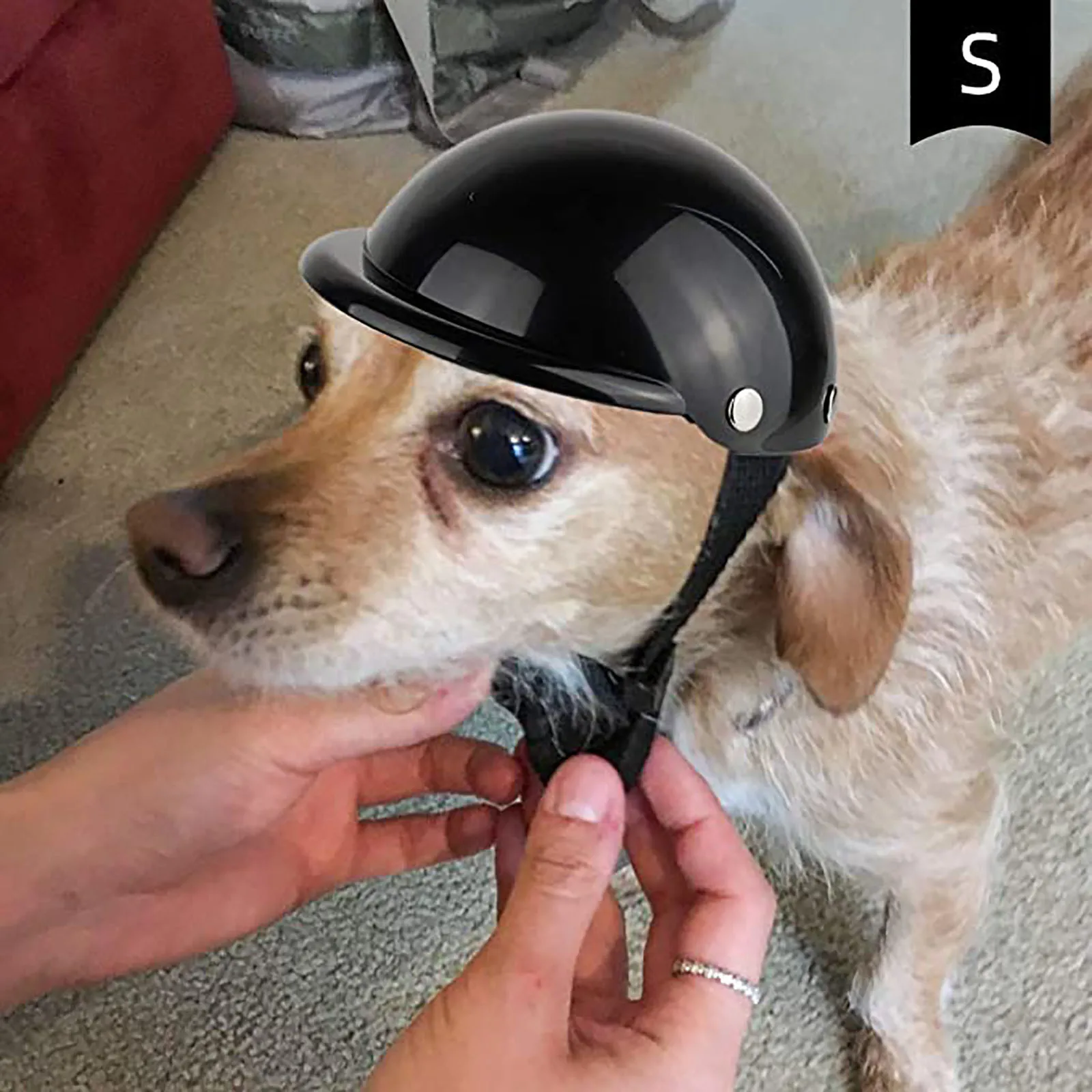 Dog Helmets Motorcycles | Dog Hat Motorcycle Helmet | Dog Helmet Caps ...