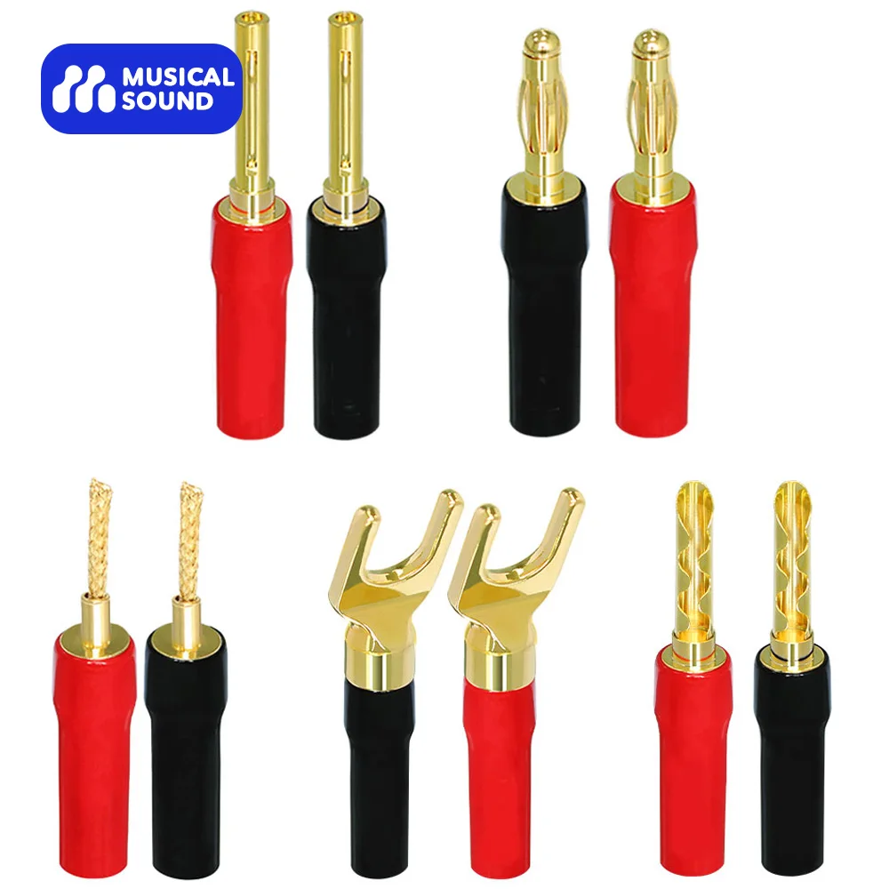 Sf8adb02e32404f87b828c64f77f4076cM.jpg