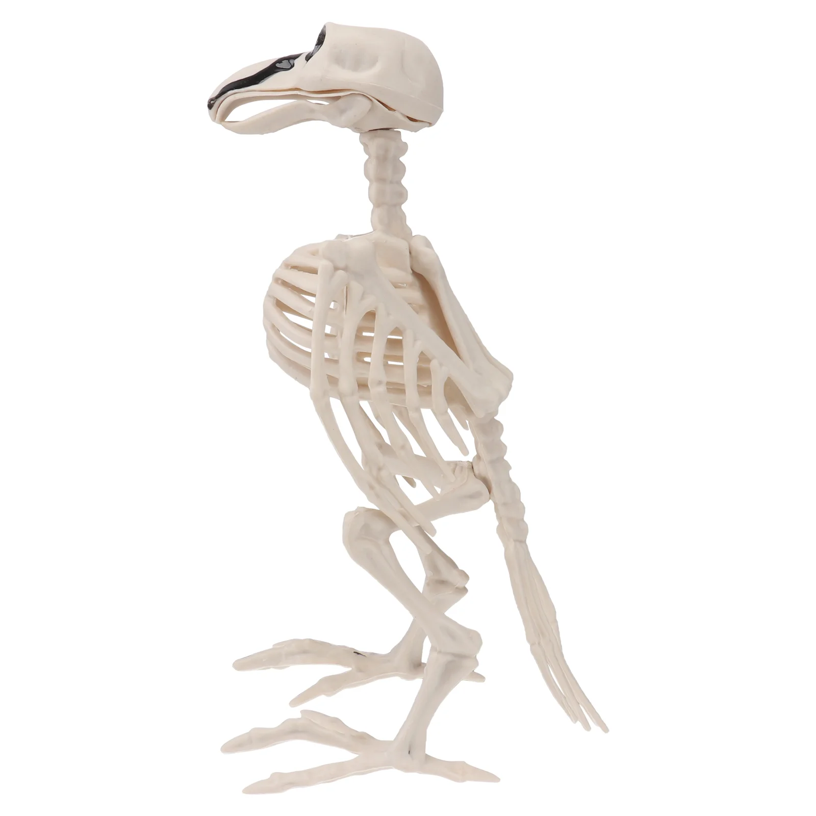Crazy Bone Skeleton Raven Plastic Animal Skeleton Bones Horror ...