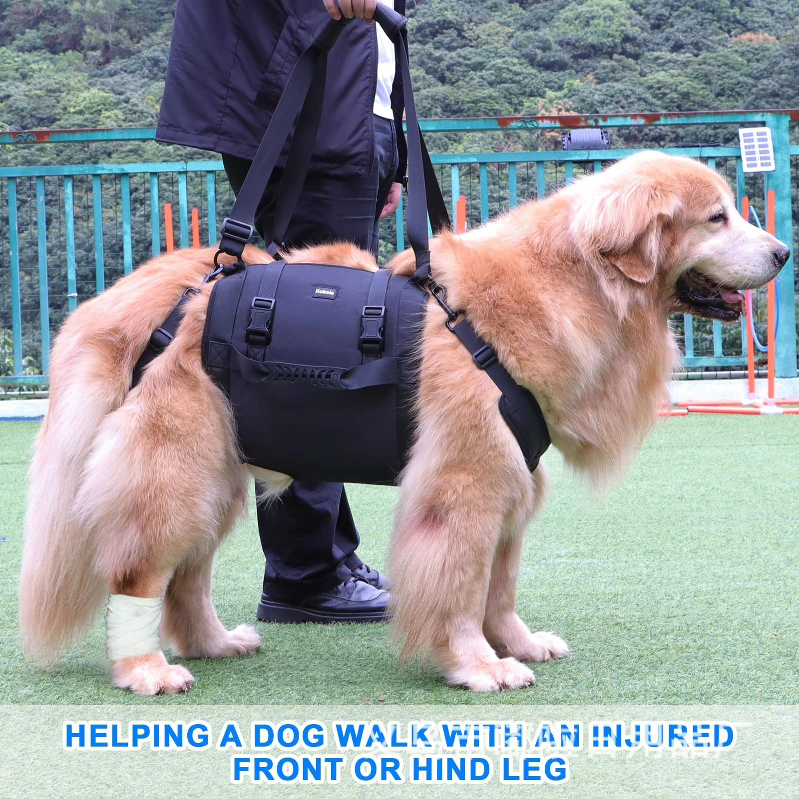 Portable Dog Sling for Back Legs Hip Support – Outdoor Gear & Equipment ...