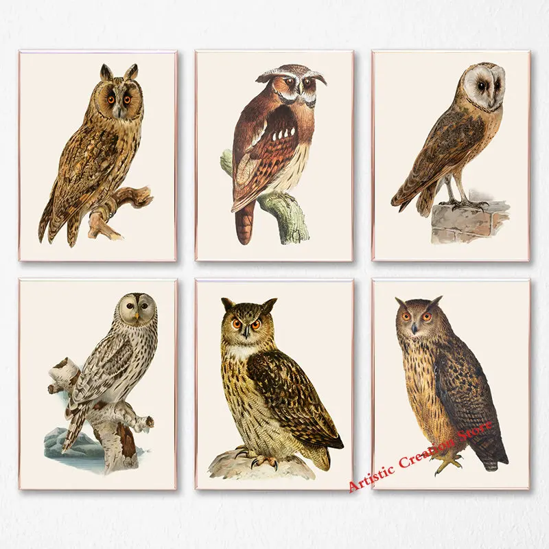 Vintage Owl Art