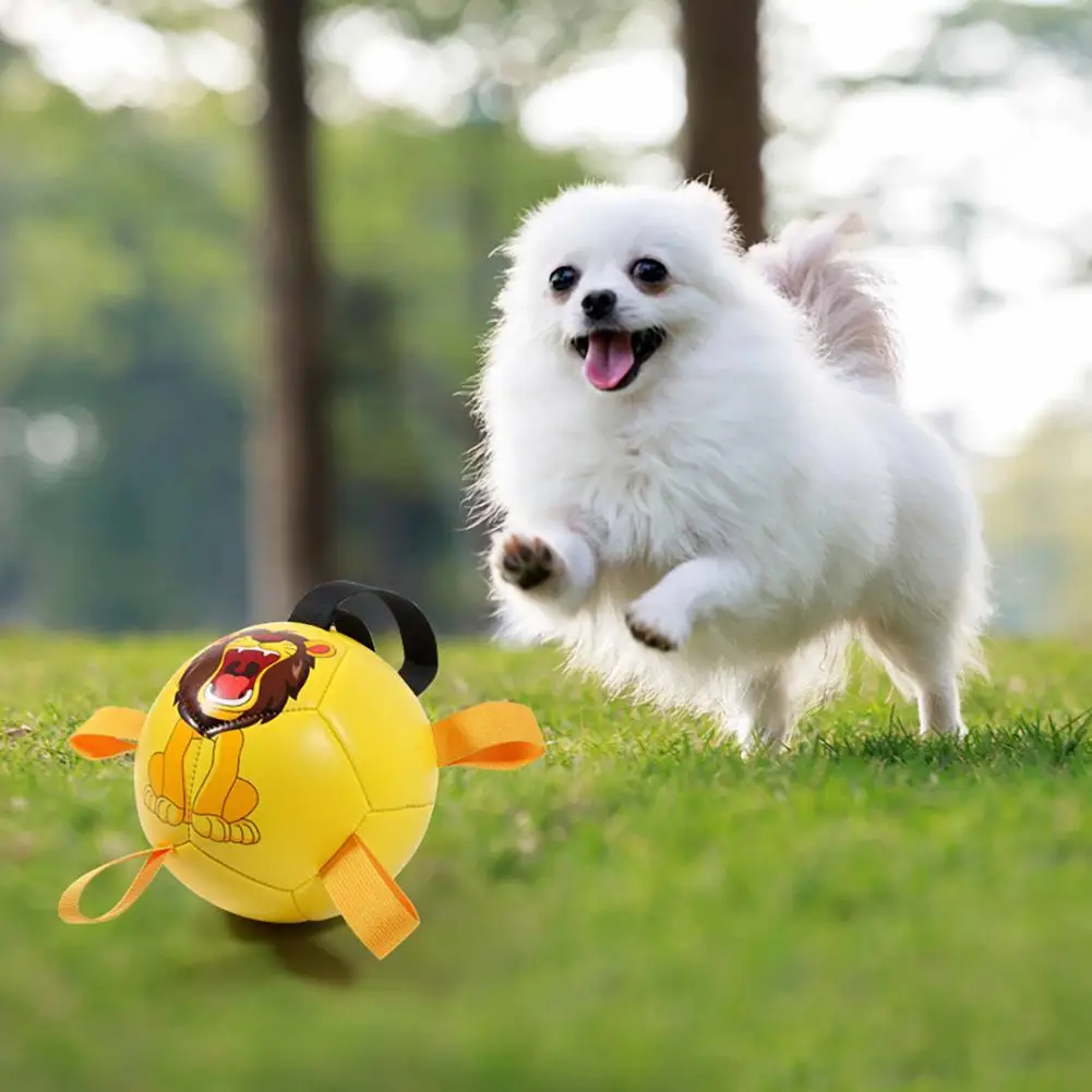 Dog-Soccer-Ball-Toys-Multi-functional-Outdoor-Indoor-Interactive-Dog ...