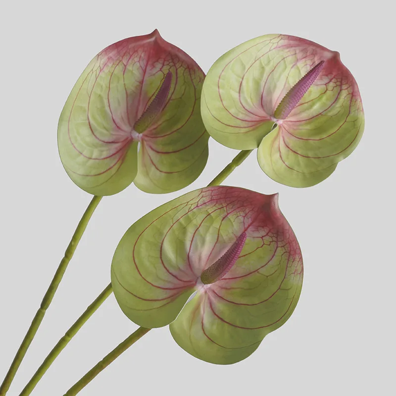 Anthurium Artificial | Artificial Plants | 3d Printing Film | Home ...