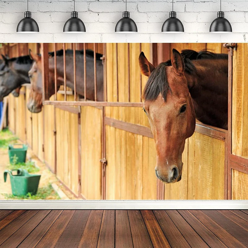 Horse Barn Wallpaper