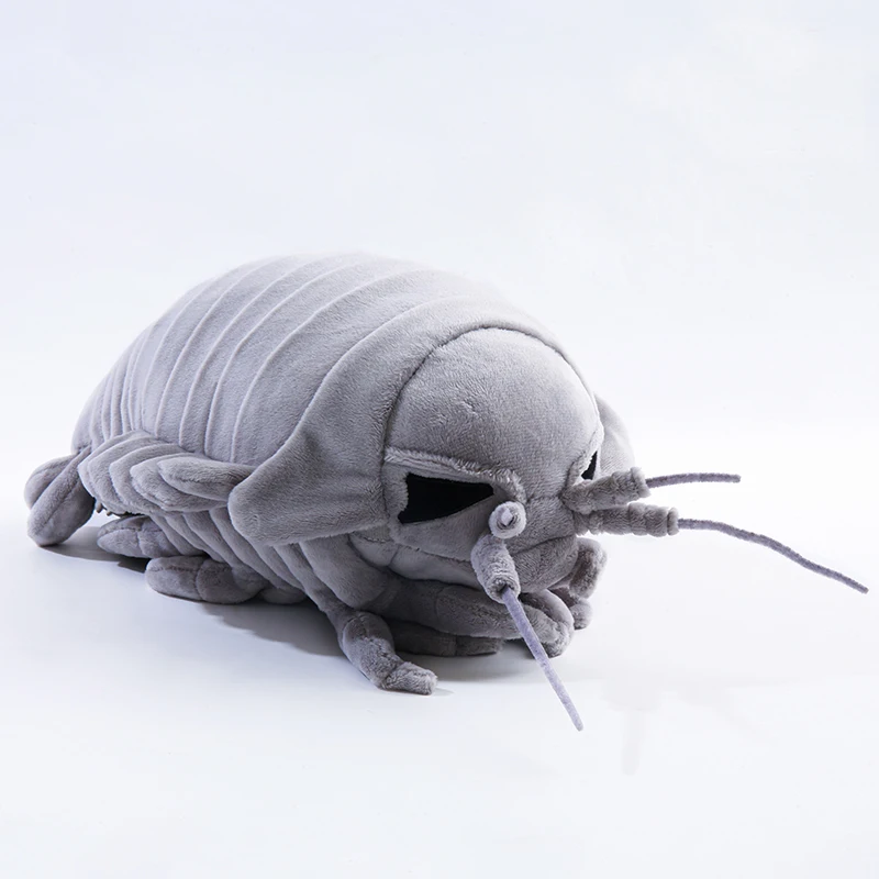 Giant Isopod