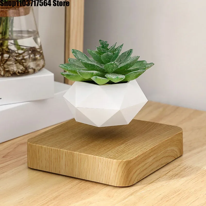 Maglev-potted-home-decoration-pieces-Valentine-s-Day-creative-gifts ...