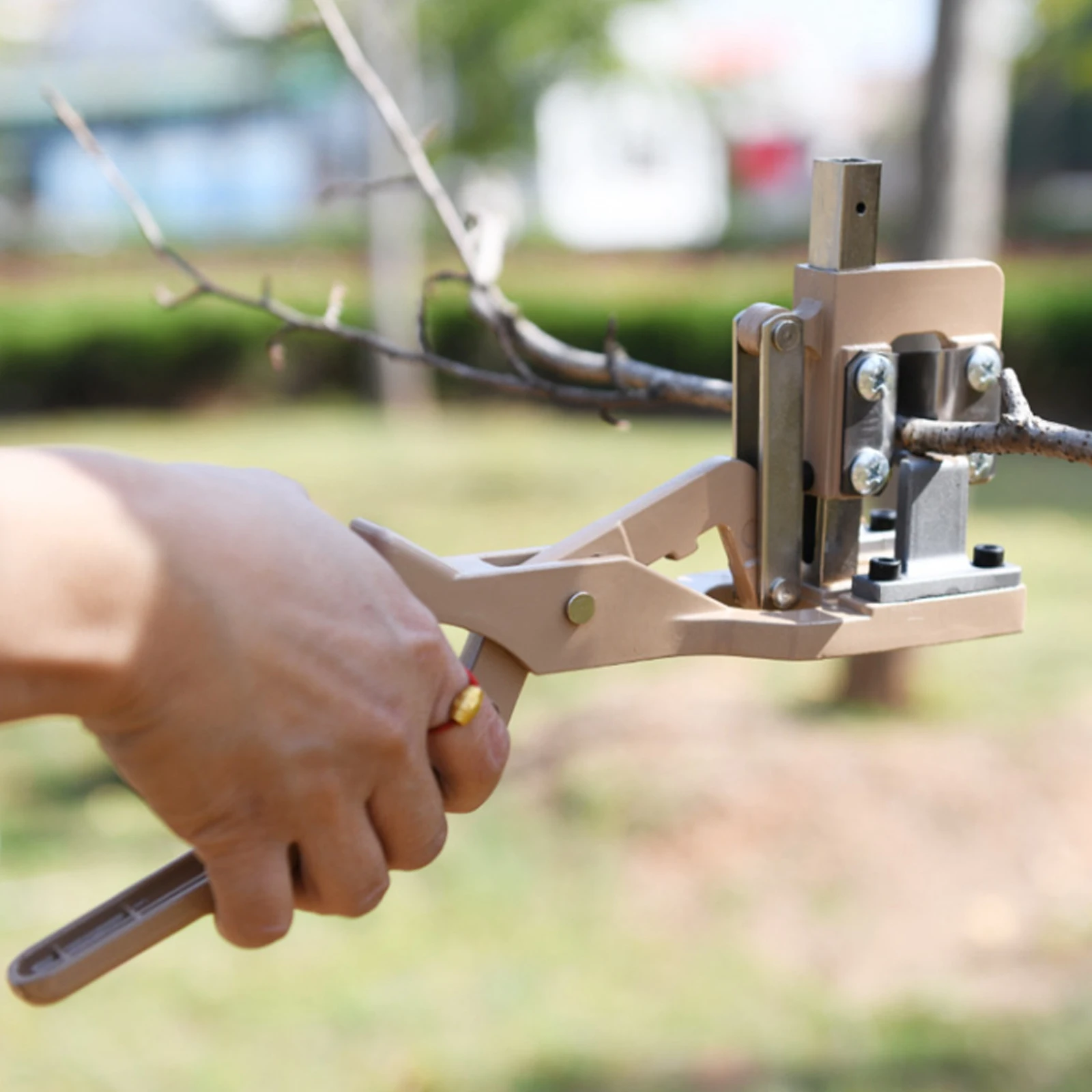 Stainless-Steel-Branch-Cutter-Large-Grafting-Tool-Garden-Pro-Branch ...