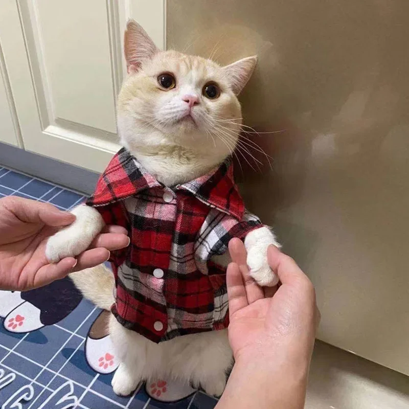 Plaid Cat Clothes for Cats Sphinx Pet Clothing for Small Cats Dogs Cat ...