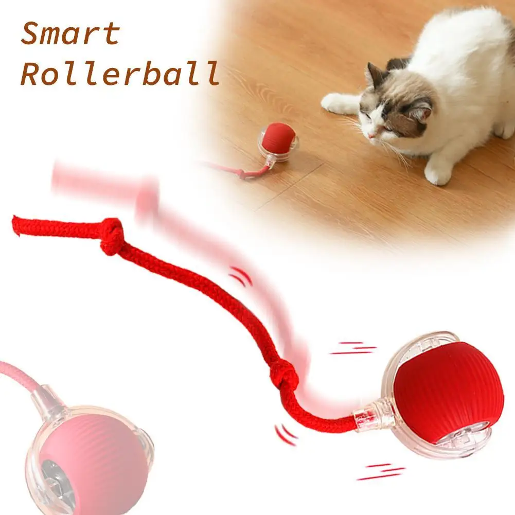 Interactive-Cat-Rolling-Ball-Super-Drive-Cat-Rolling-Balls-With-Bird ...