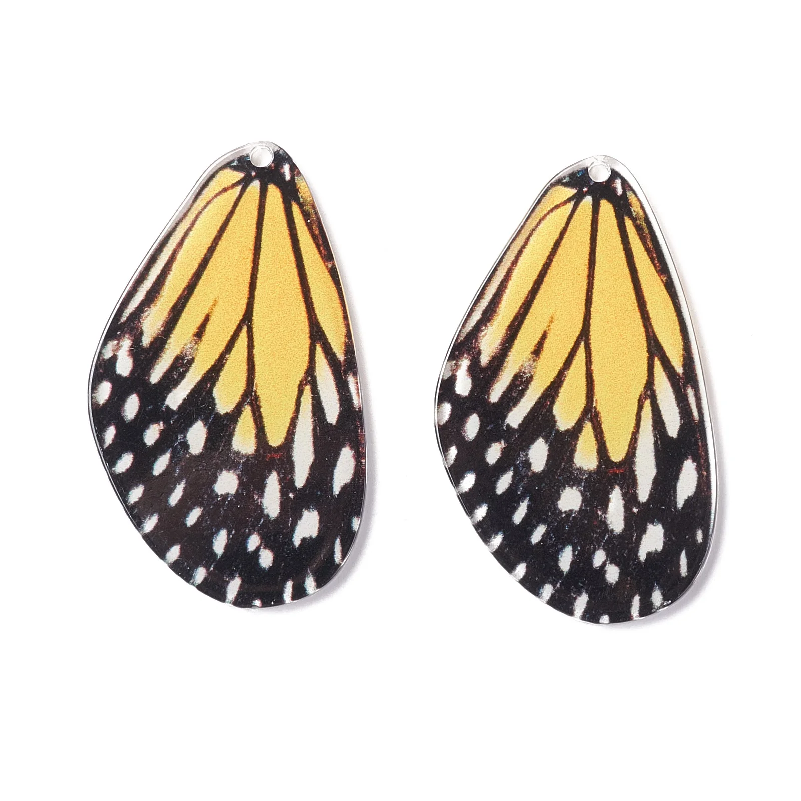 Colorful Butterfly Wings Side View