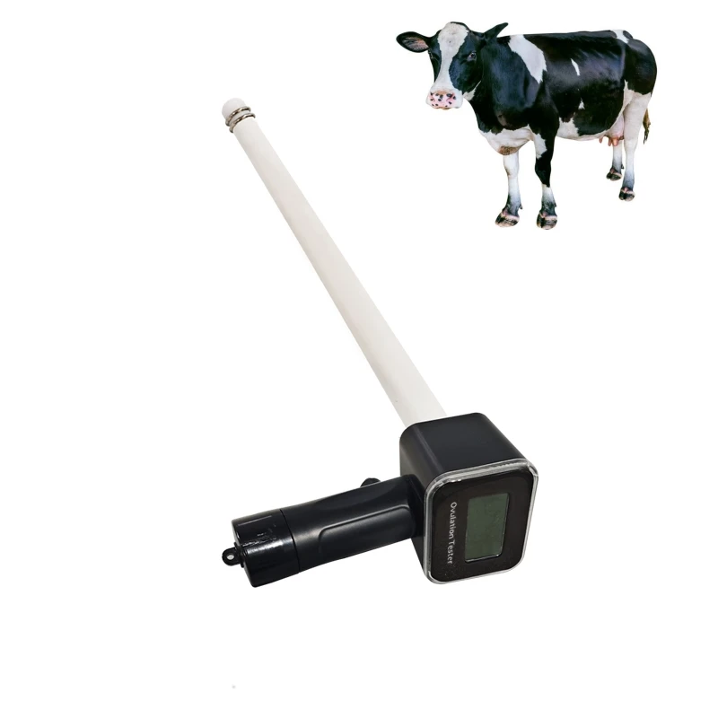 Veterinary Clinic Hospital Use Portable Cattle Caw Animal Ovulation ...