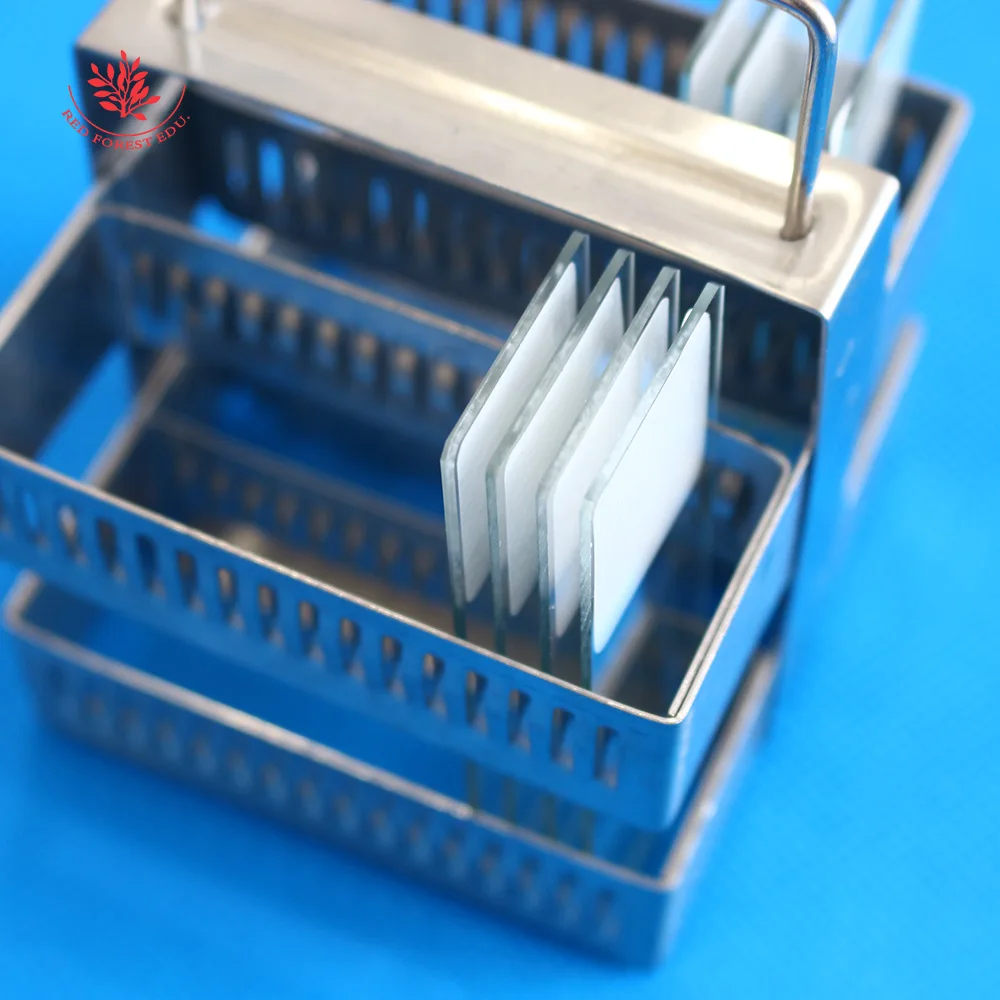 Slide Staining Racks For 30 Slides Stainless Steel Slides Staining ...
