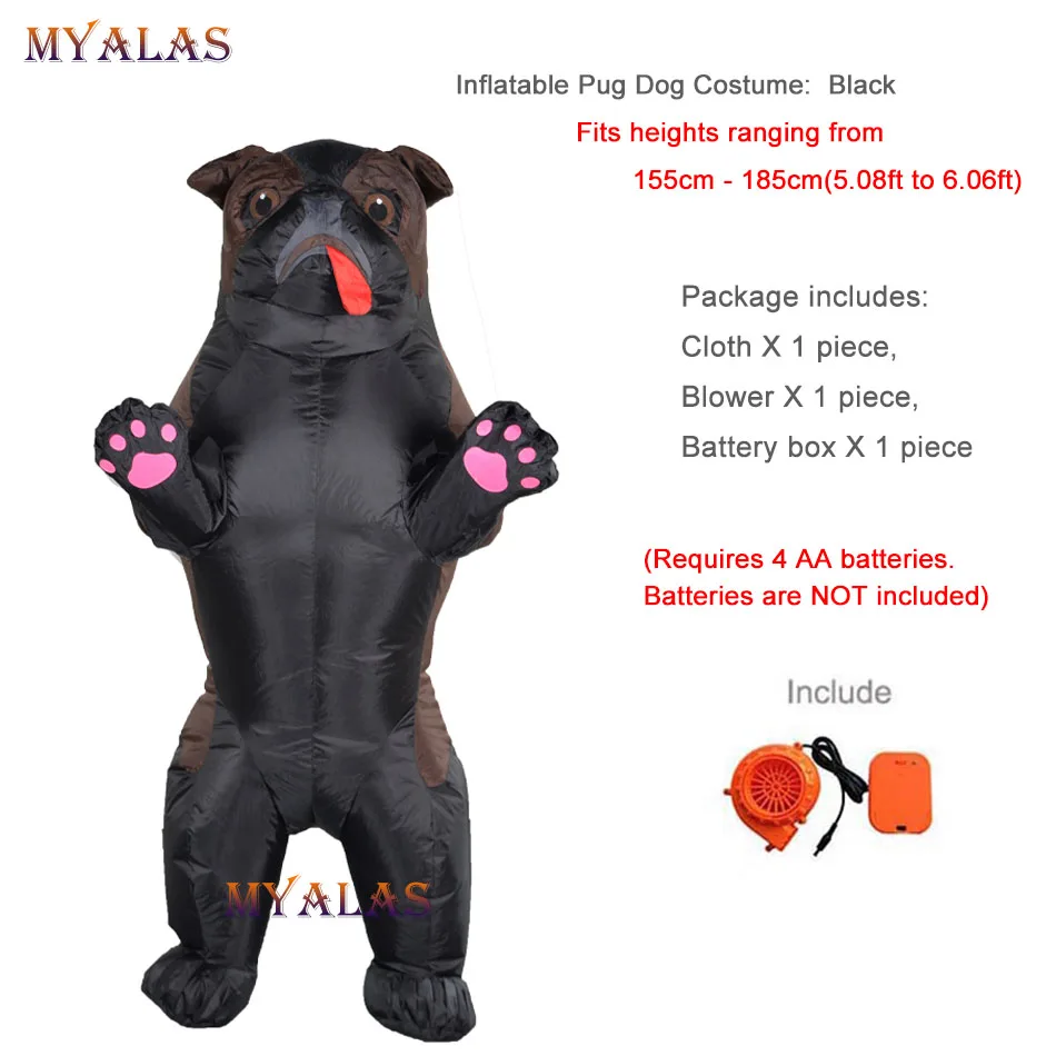 Black Pugs In Funny Costumes