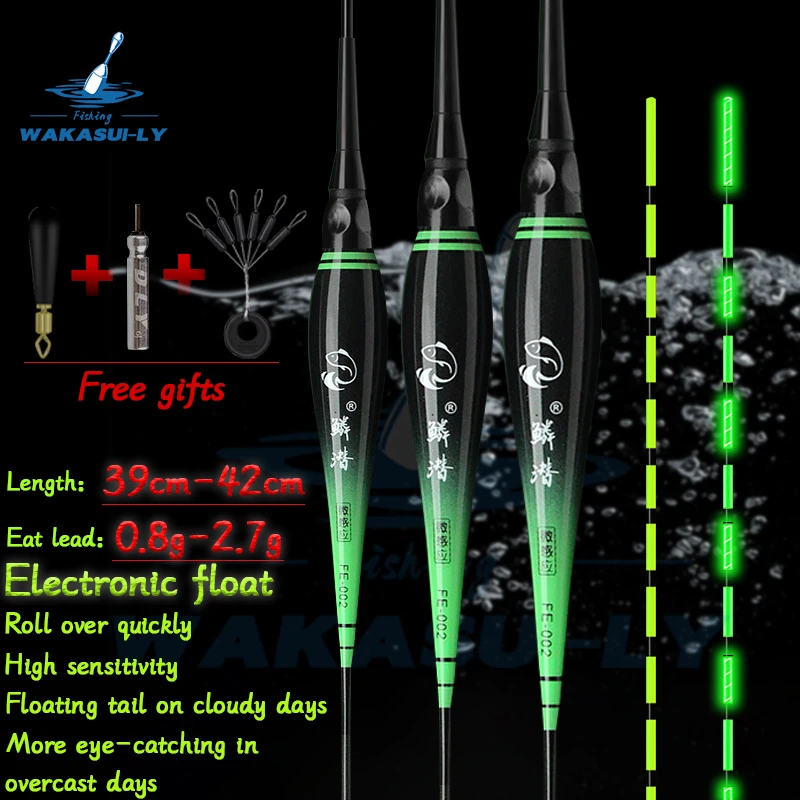 Floats Fishing Carp | Fishing Electronic Floats | Illuminated Fishing ...