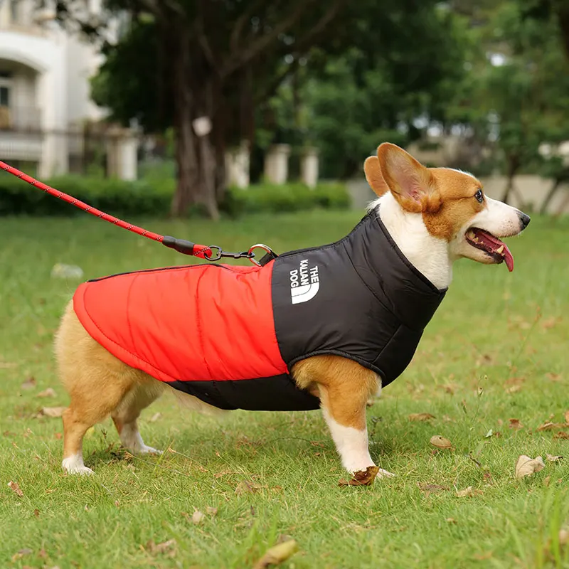 L-7XL Winter Waterproof Warm Corgi Jacket Warm Dog Jacket Medium Dog ...