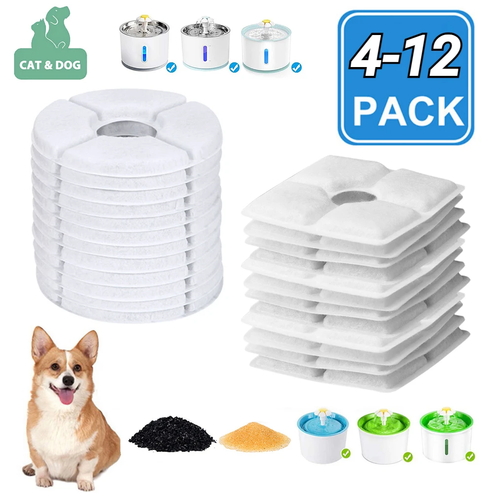 Can I Use Carbon Filters In Dog Water Fountain