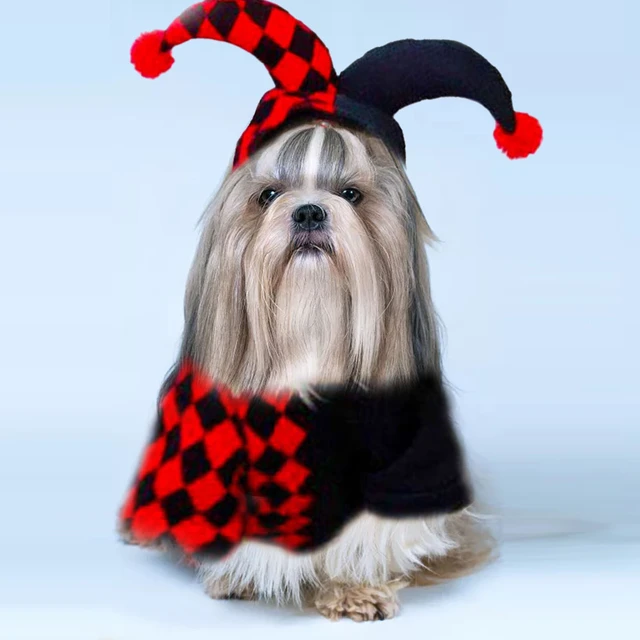 Joker Dog Costume