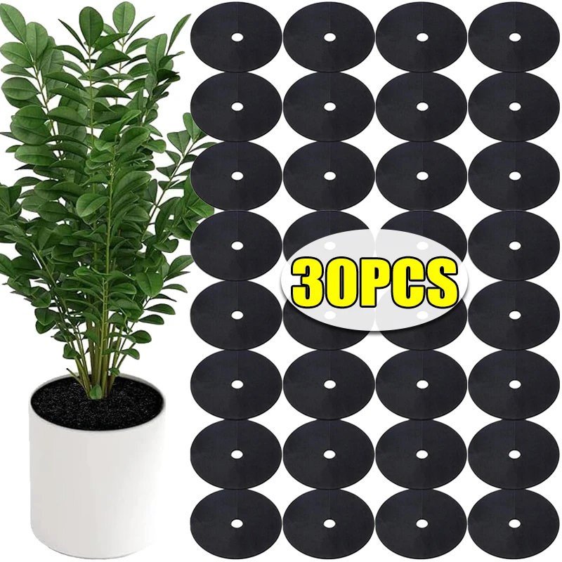 Indoor Plants Mat Protection: The Silent Guardian Your Houseplants Didn ...