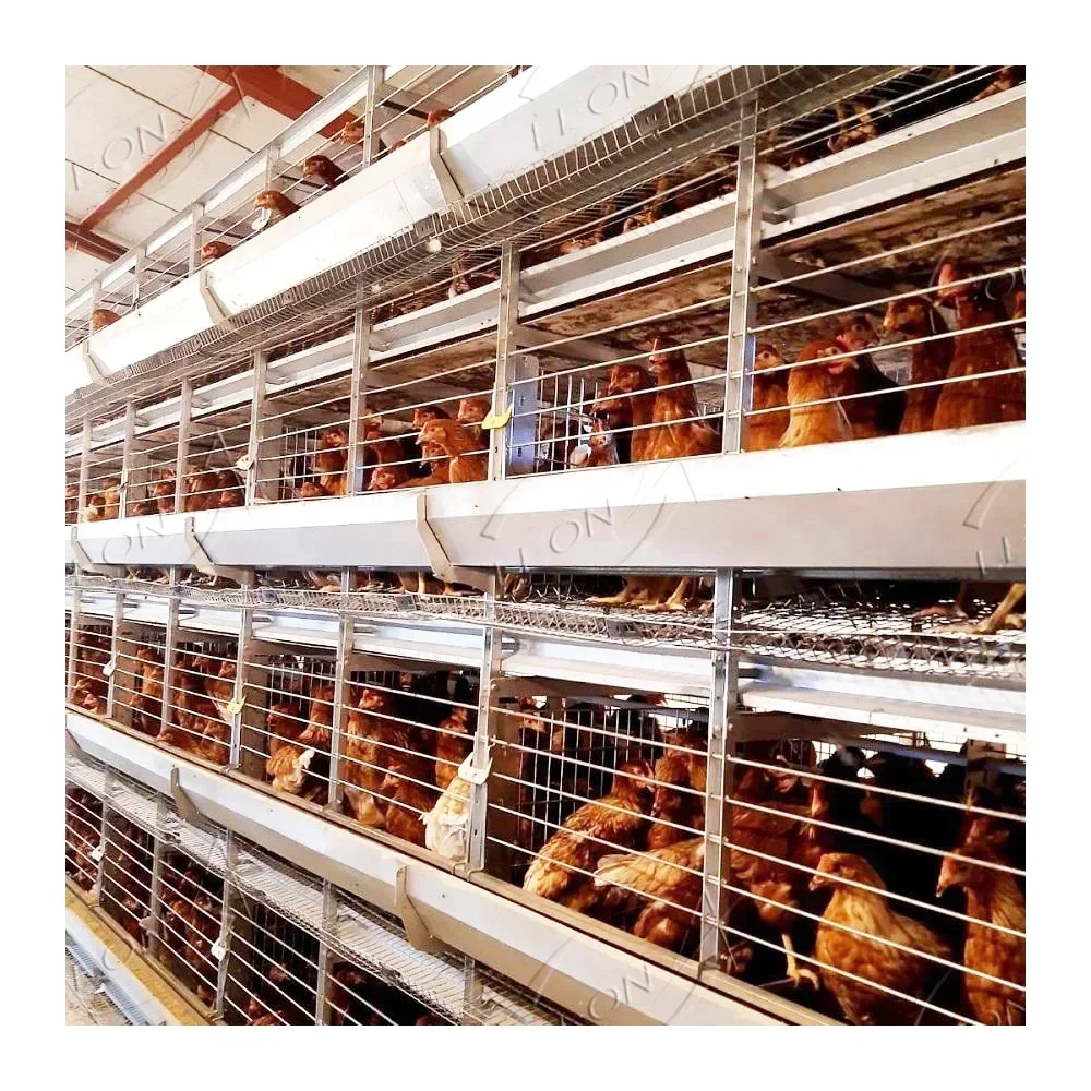 Automatic-Galvanized-Battery-Poultry-Farm-Layer-Cage-for-4600-Laying ...