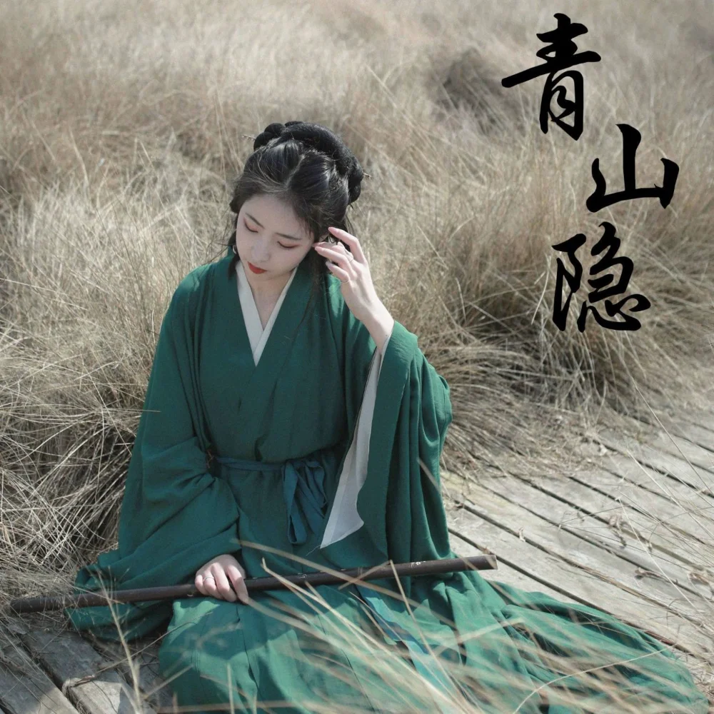 Straight-Train-Solid-Elegant-Hanfu-Women-Chinese-Traditional-Hanfu ...