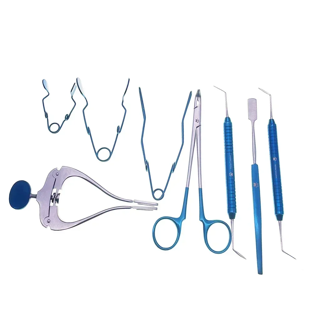 Rodent-Rabbit-Hamester-Retractor-Mouth-Opener-Oral-Exams-Extract ...