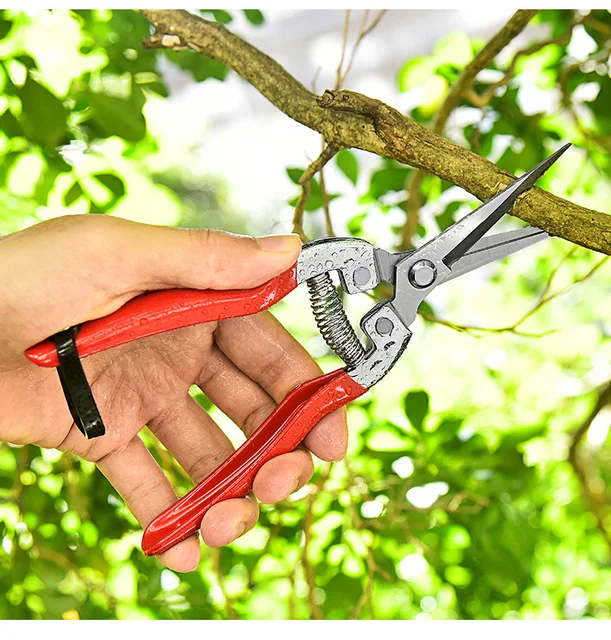 Fiskars Replacement Springs DEKTON PRECISION PRUNER - Avron Direct ...