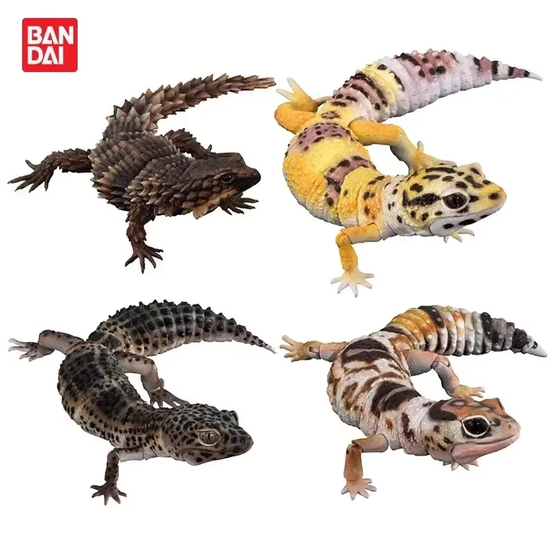 Original-Bandai-Gashapon-Big-Biological-Map-Lizard-Armadillo-Leopard ...