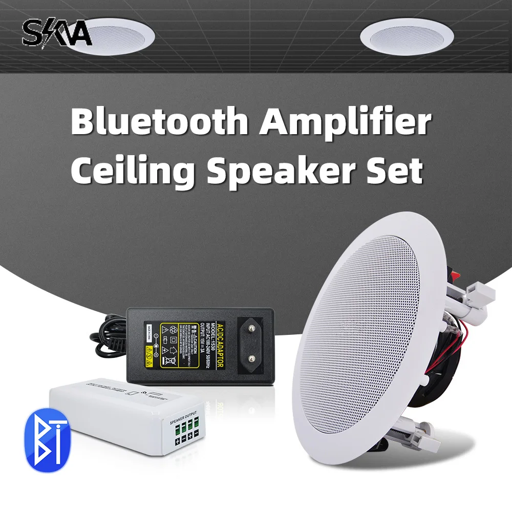 Bluetooth-Amplifier-Portable-Mini-Amp-and-20W-Coaxial-Ceiling-Speaker ...