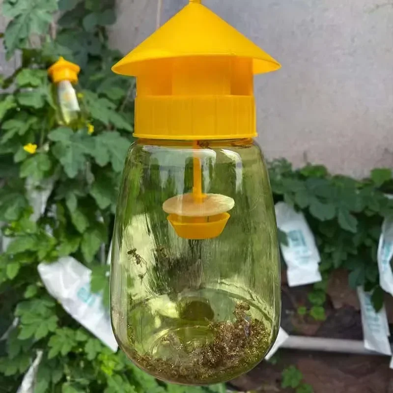 Fruit-Fly-Trap-Pest-Traps-Bugs-Killer-Fruit-Fly-Attractant-Mosquito ...