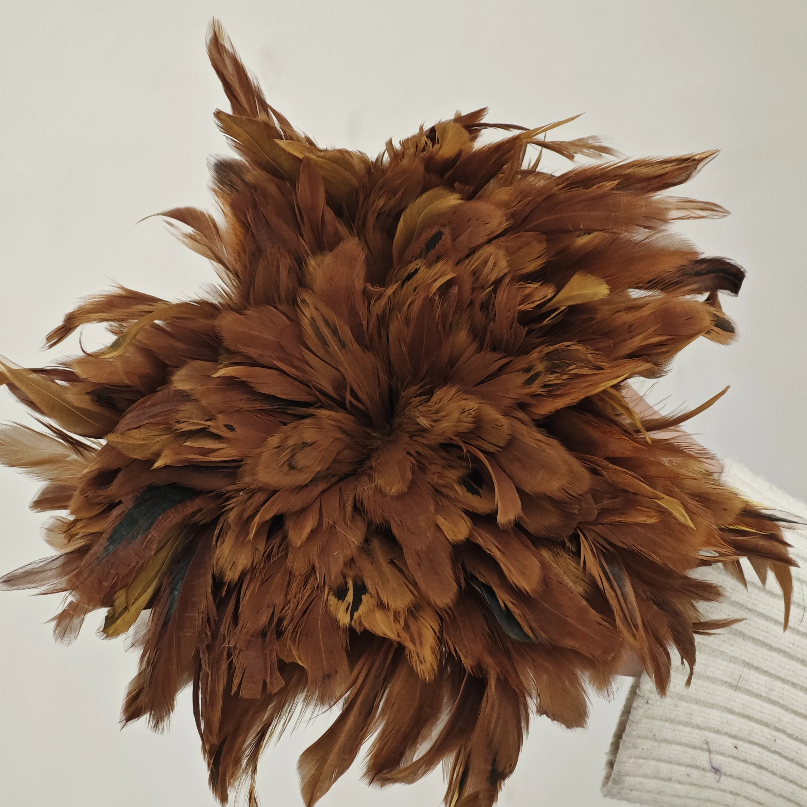 1/5/10Pcs/Lot Natural Rooster Feathers for DIY Crafts Natural 5-7inch ...
