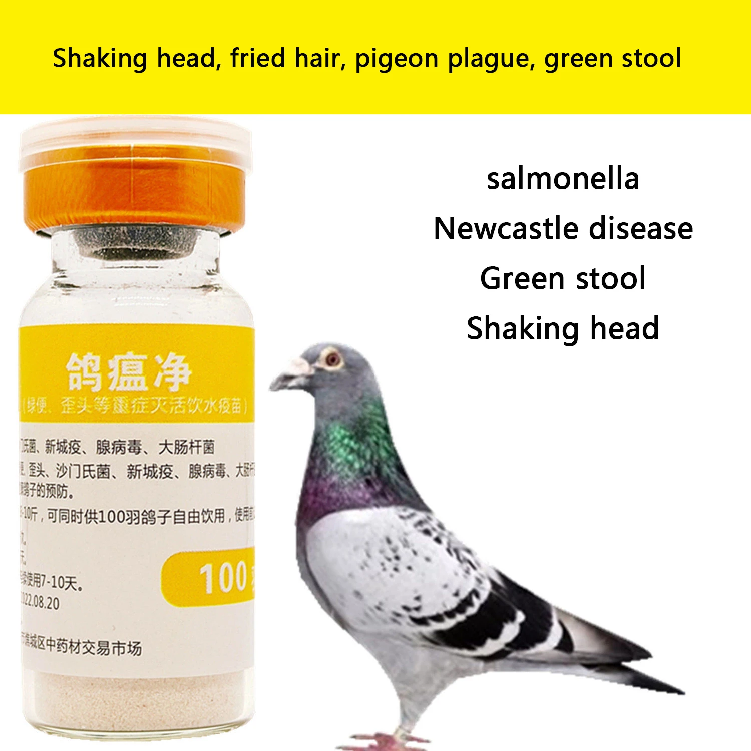 Pigeons-shake-their-heads-and-fry-their-hairs-tilt-their-heads-and ...