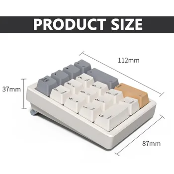 Magicforce 기계식 숫자 소형 키보드 컴퓨터 외부 녹차 맞춤형 플러그 앤 풀 샤프트 키트, 다채로운 RGB, Mf17 키