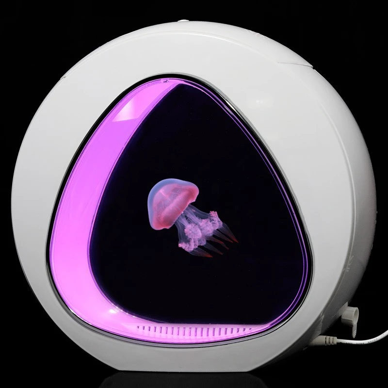 Jellyfish Tank Home | Jelly Fish Pet Jellyfish Tank | Jellyfish Tank ...