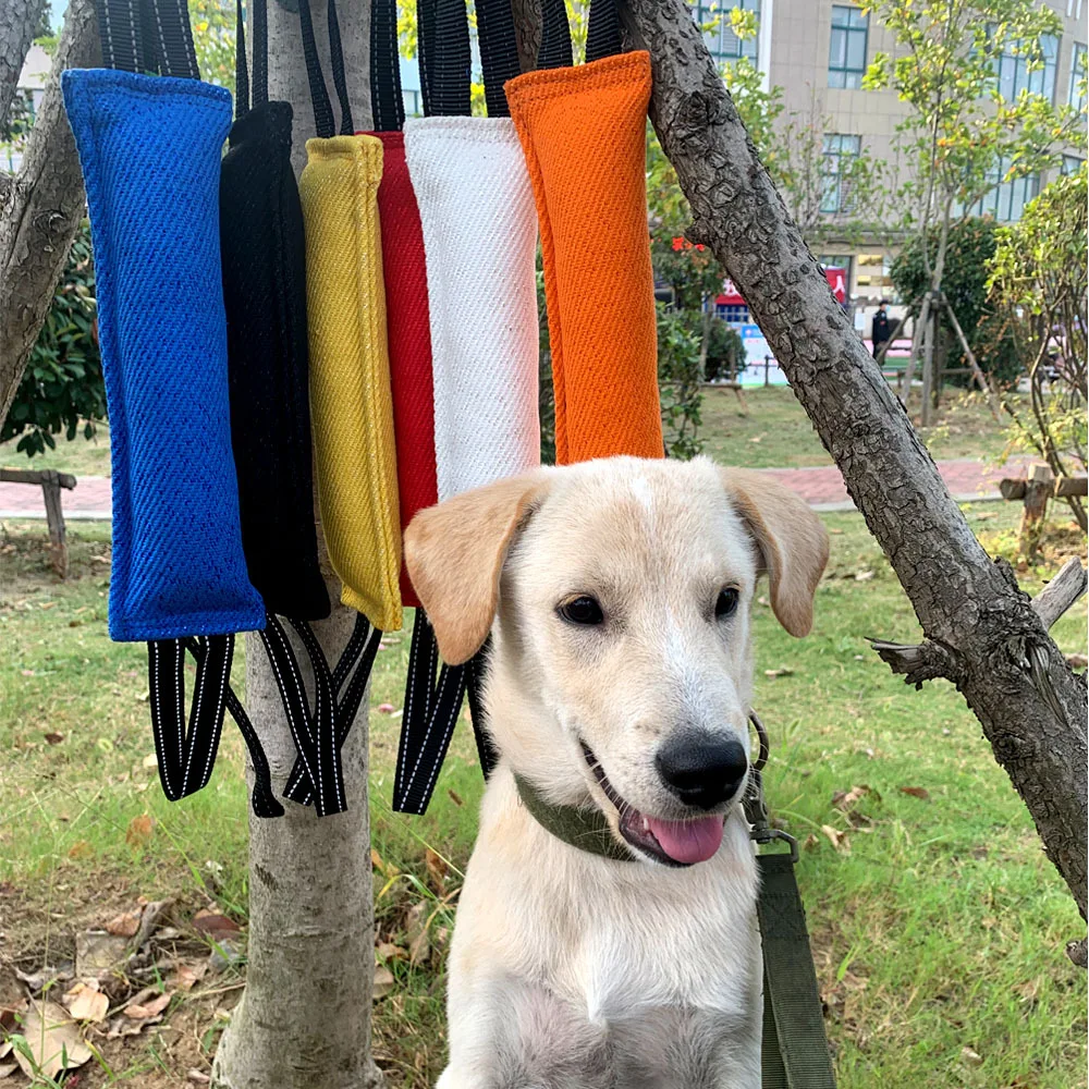 Clean A Dog Bite