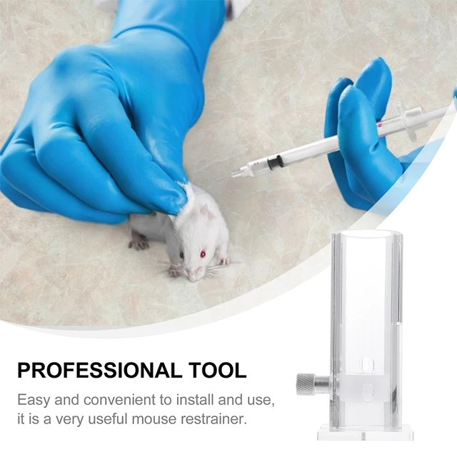 Transparent Lab Mice
