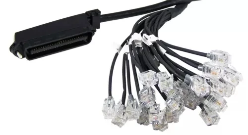 RJ21-BRKOUTCAB-MALE-RJ21-HYDRA-Amphenol-Cat3-Telco-Breakout-Cable-to-24 ...