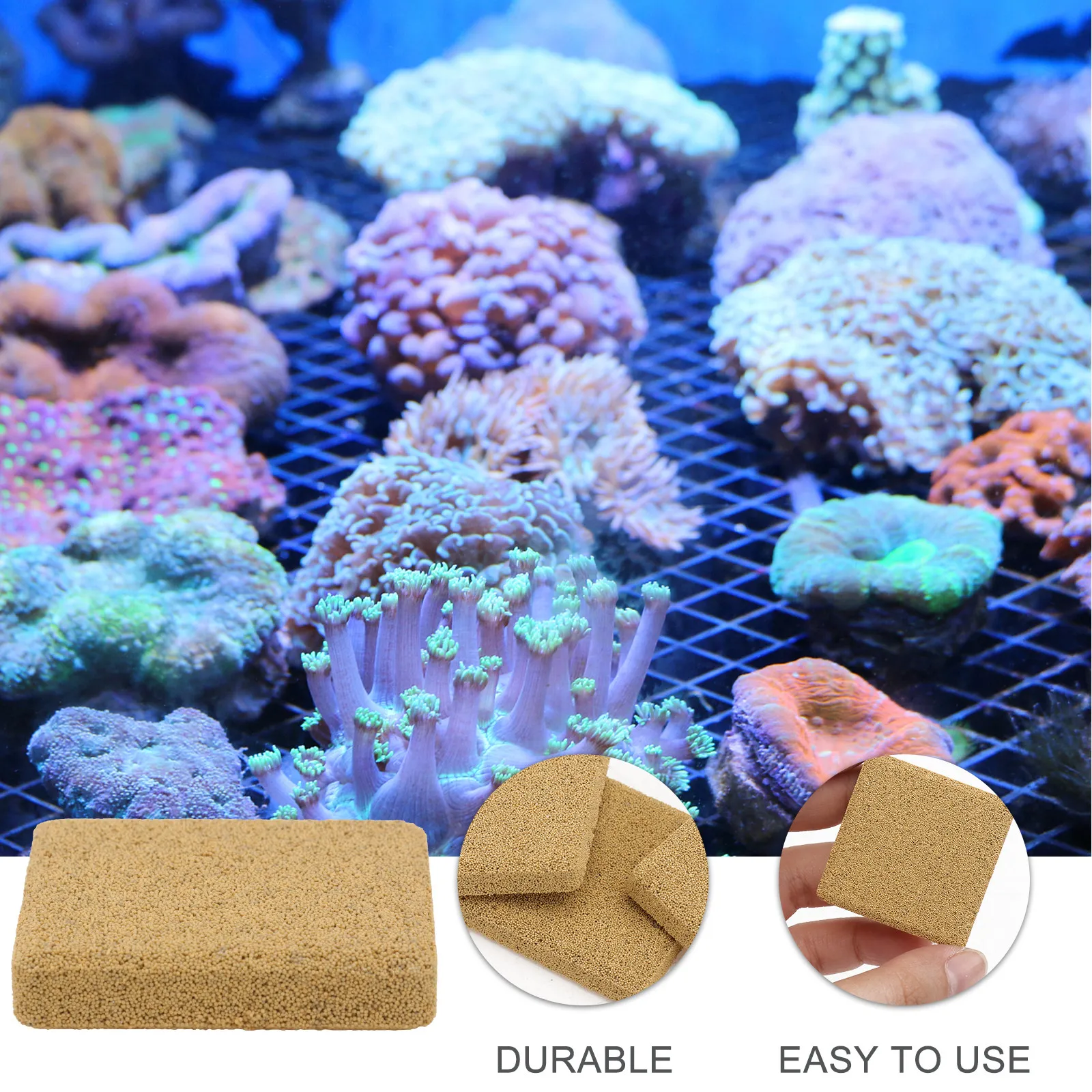 10Pcs Coral Fixing Base Solid Long-Lasting Coral Plant Support for Fish ...