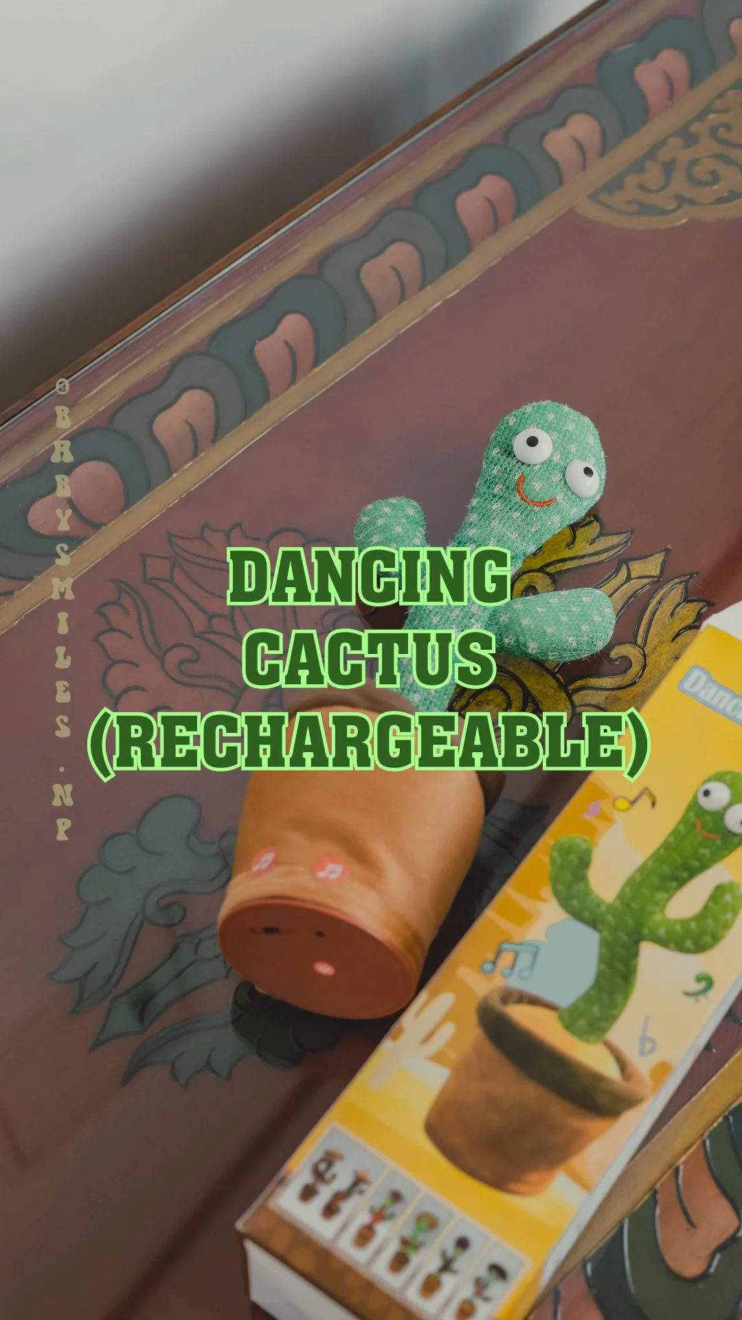 Mimicry Toy Dancing Cactus with Lights and Music - Repeat and Record ...