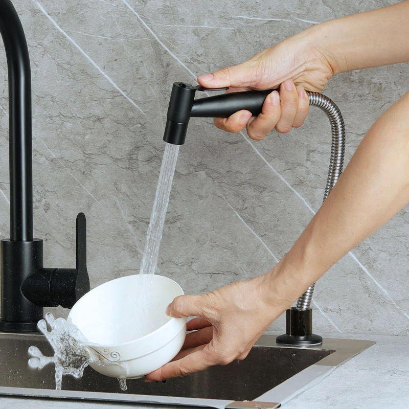 Black Pull Out Sink Handheld Sprayer Shower Faucet Kitchen Washing ...