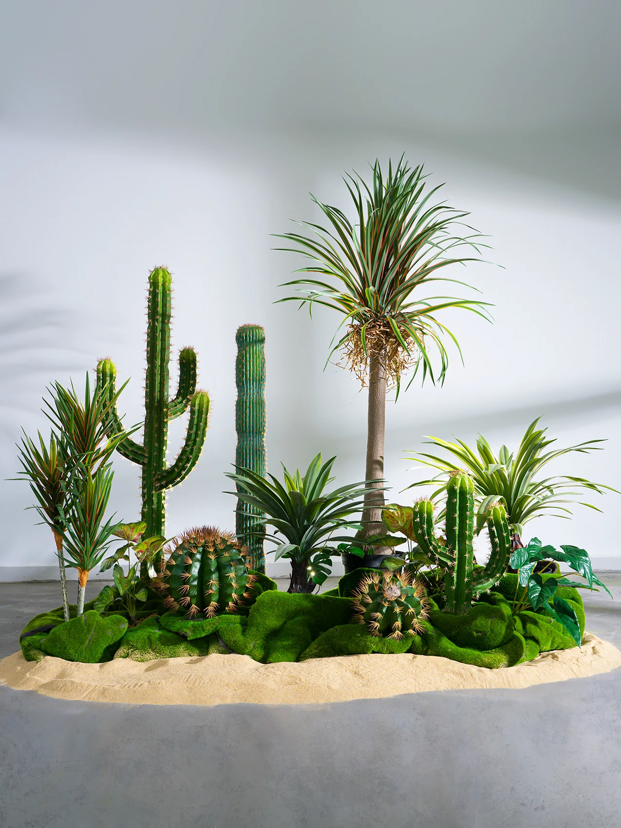 Indoor Cactus Garden