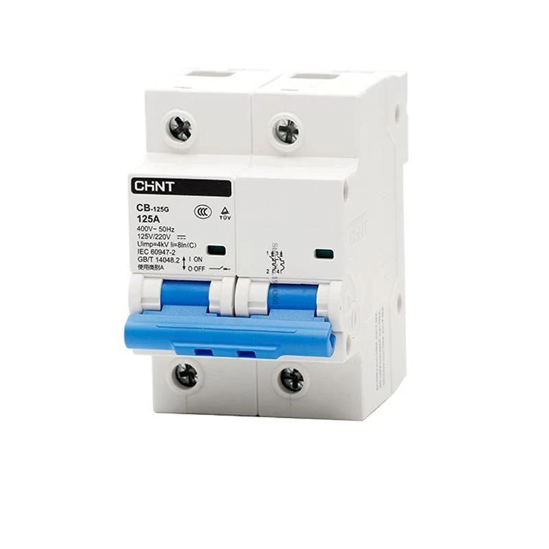 CHNT CHINT CB 125G 2P 80A 100A 125A DC 125V/220V AC400V مصغرة قطاع دارة ...