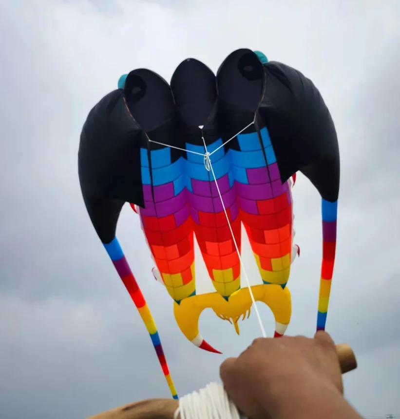 professional giant kite wind kites Trilobite soft Kite flying kites for ...